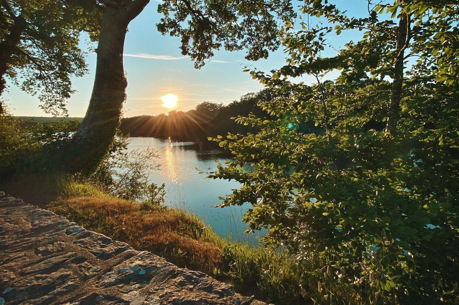 À voir & à faire - Camping municipal de Paimpont (35)